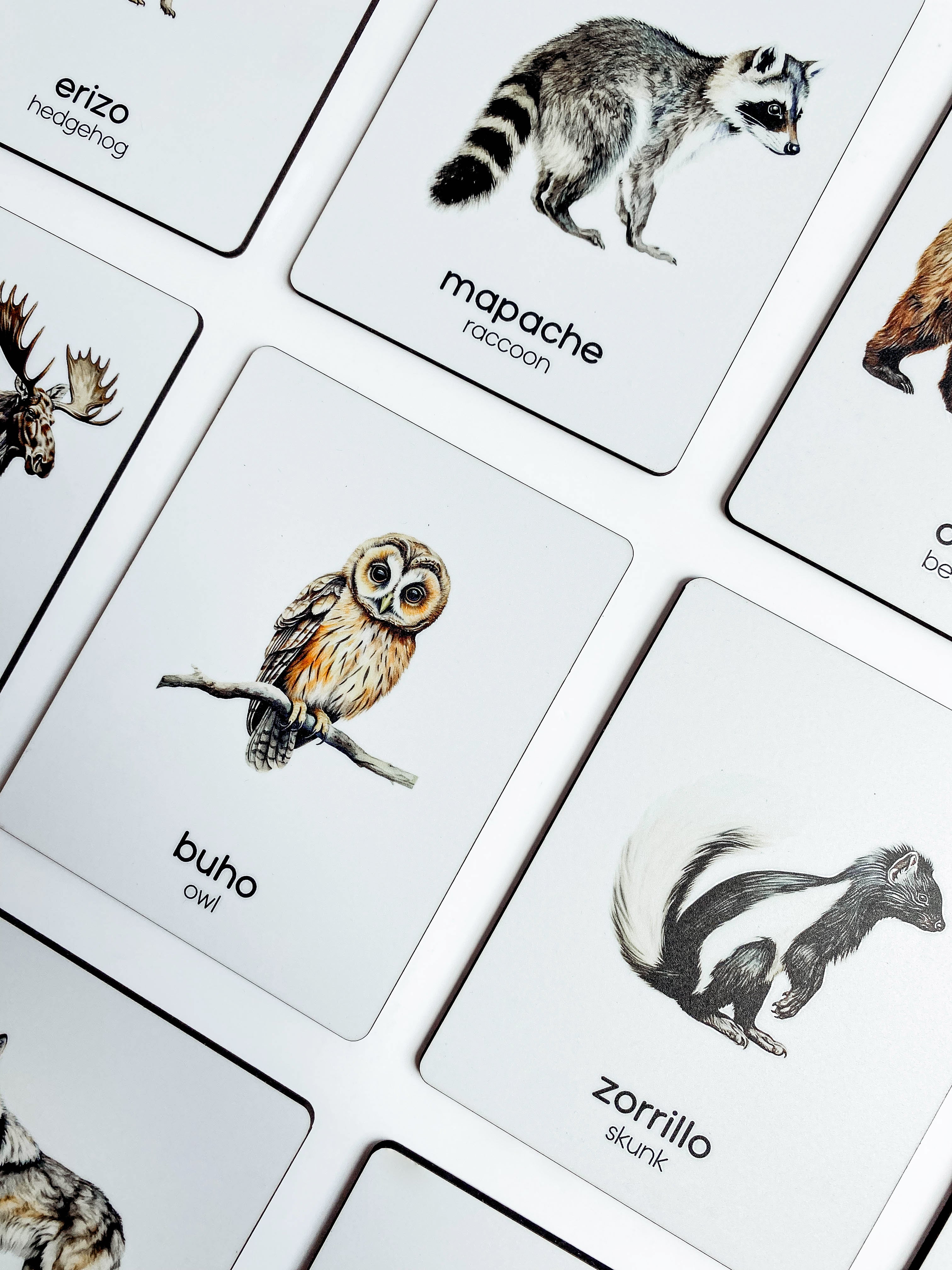 Flashcards - Bosque – bananabird.mx